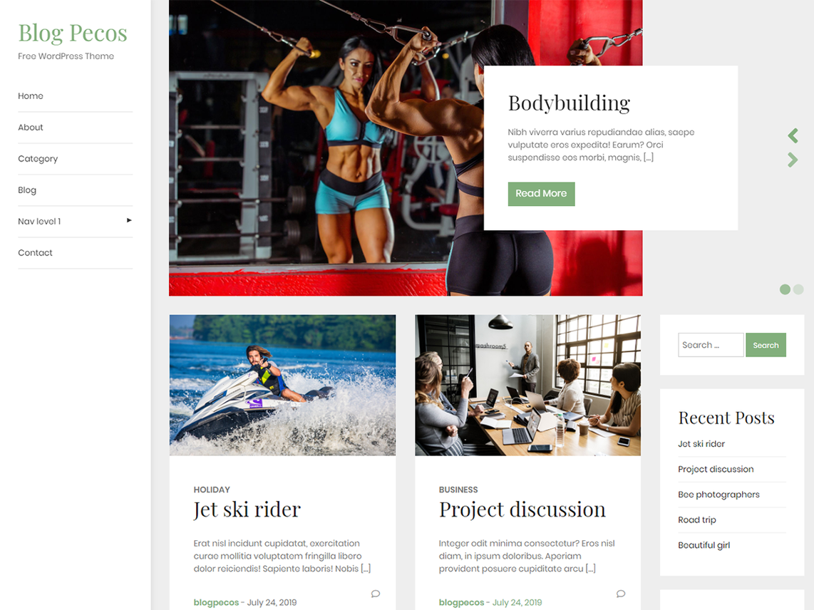 Top 16 Best Free WordPress Blog Theme - JustFreeWPThemes