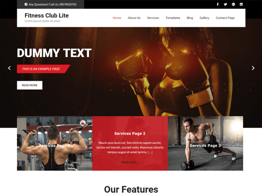 Top 12 Awesome WordPress Fitness Theme - JustFreeWPThemes