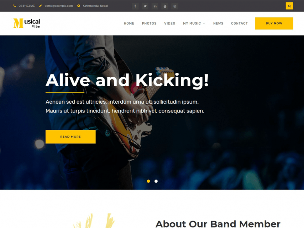 Top 10 WordPress Music Theme - JustFreeWPThemes
