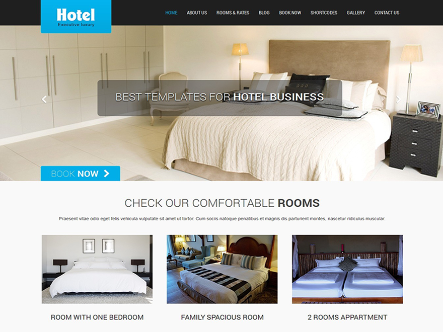 Top 15 Best Free WordPress Hotel Theme - JustFreeWPThemes